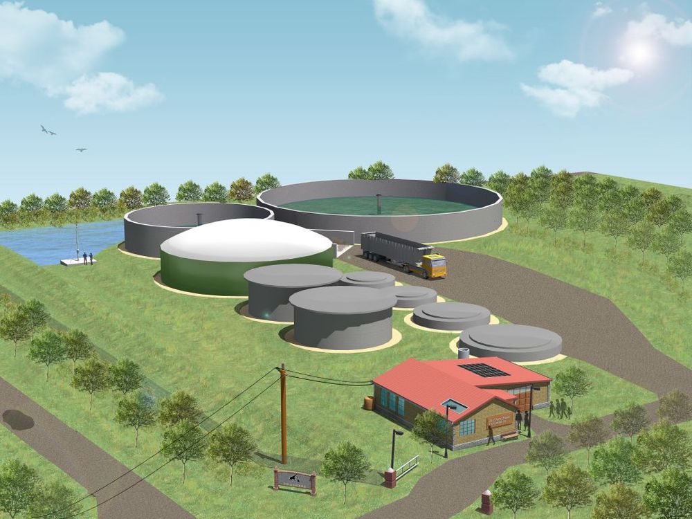 Maryland opens animal waste-to-energy program | Biodiesel Magazine