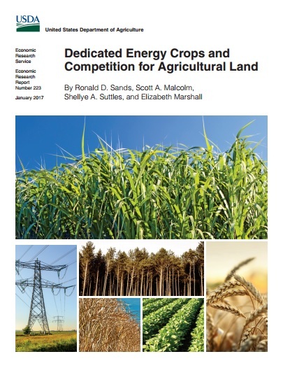 Report considers the impact of dedicated energy crop production ...