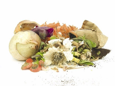 NYC proposes to expand food waste separation requirements | Biomass ...