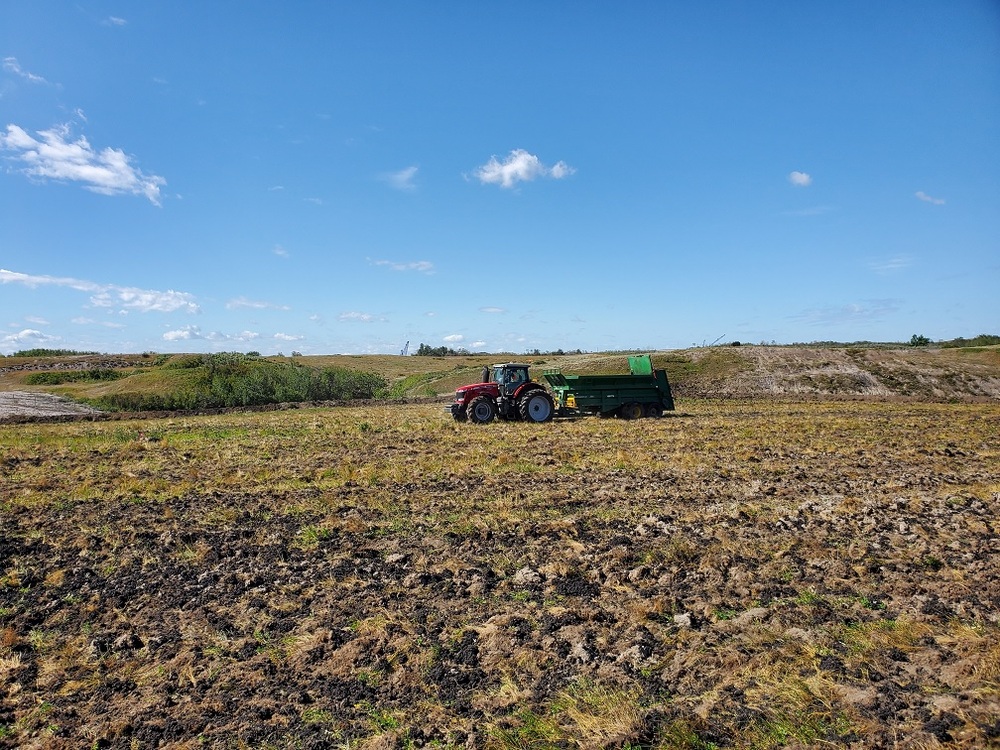 Alberta mine reclamation project to produce willow for bioenergy ...