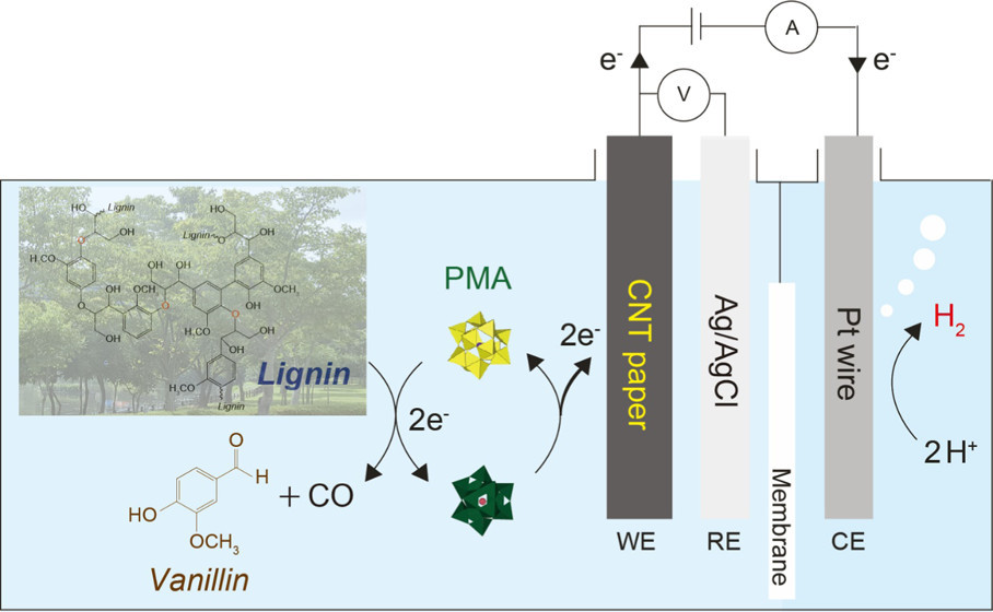 A novel biofuel system for hydrogen production from biomass | Biomass ...