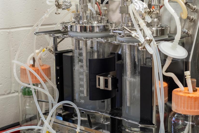 UW lab uses bacteria to convert biomass into renewable chemicals ...