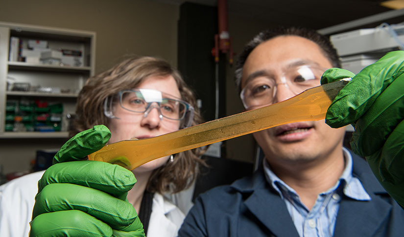 Scientists develop formula for greener polyurethane | Biodiesel Magazine
