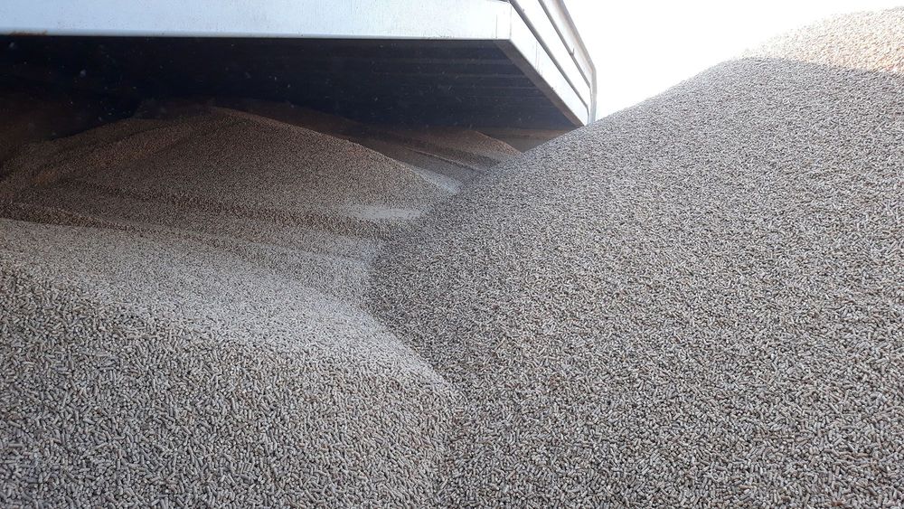RWE plant converts fifth unit to biomass | Biomass Magazine