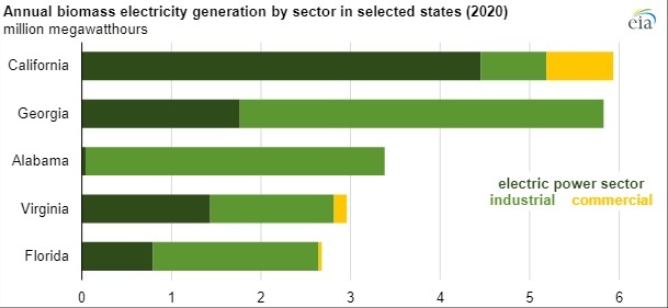 Biomass accounts for half of Georgia's renewable power in 2020 ...