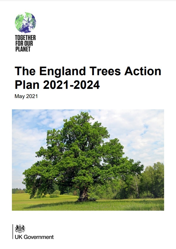 England Trees Action Plan omits bioenergy | Biodiesel Magazine