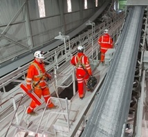 Martin Engineering awarded RAVS PLUS recognition by ISN | Biomass Magazine