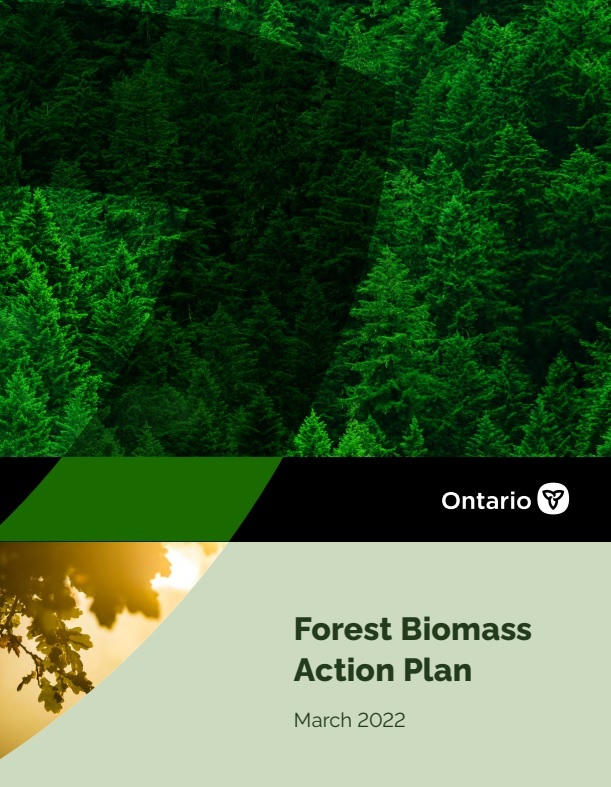 Ontario launches Forest Biomass Action Plan | Biomass Magazine