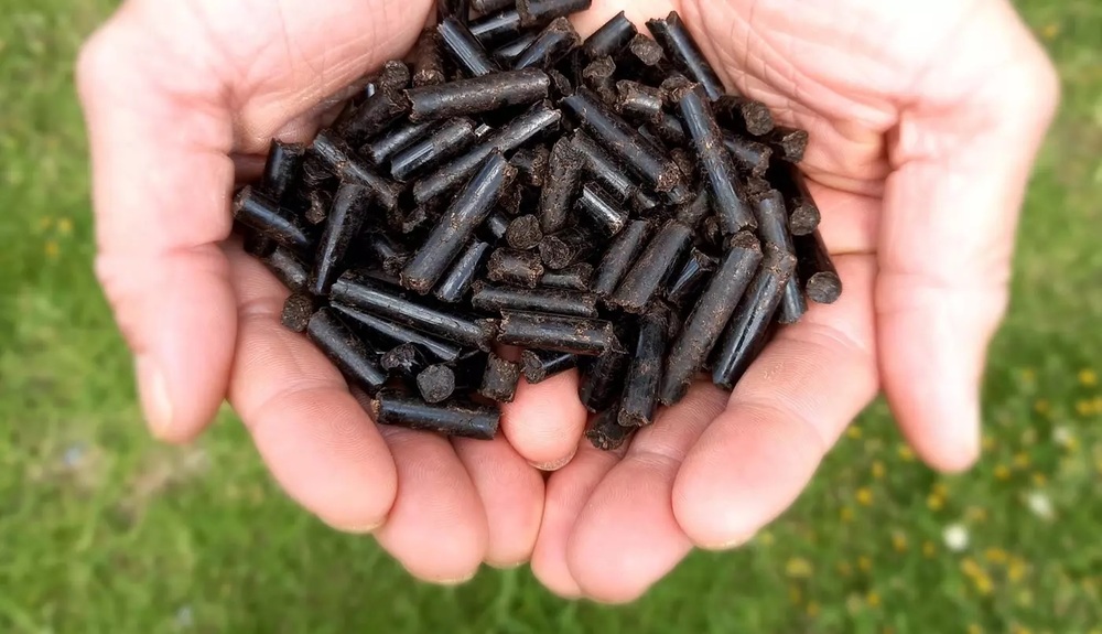 New Zealand power producer successfully trials torrefied biomass ...