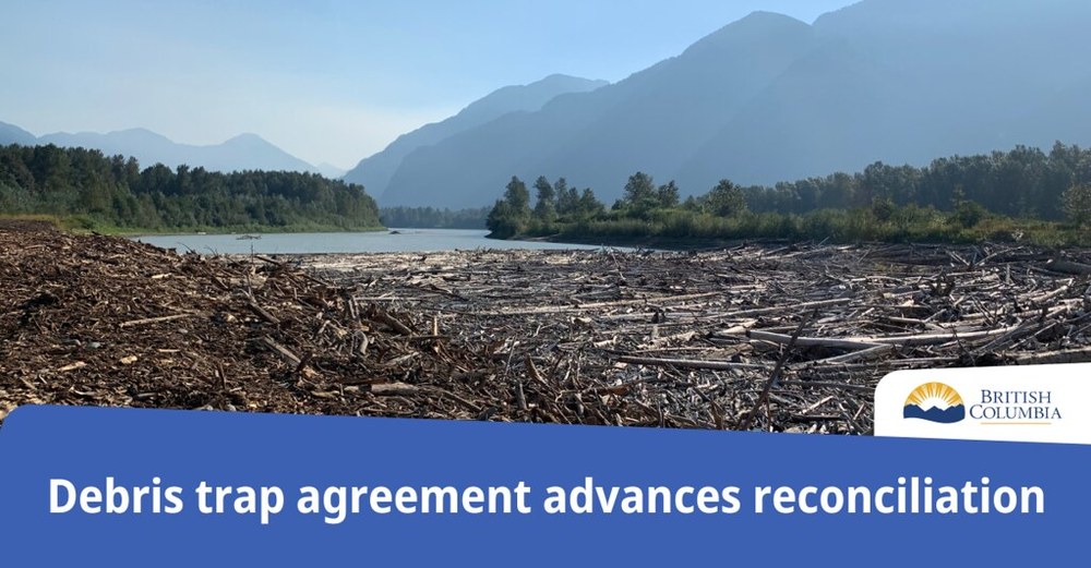 Wood collected by BC debris trap could be used for bioenergy | Biomass ...