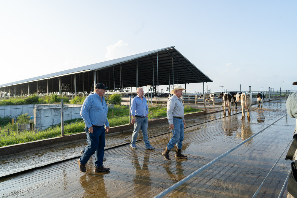 Brightmark, Chevron deliver first RNG from Florida project | Biomass ...