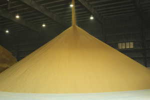 Container, truck logistics drive DDGS market dynamics | Biomass Magazine