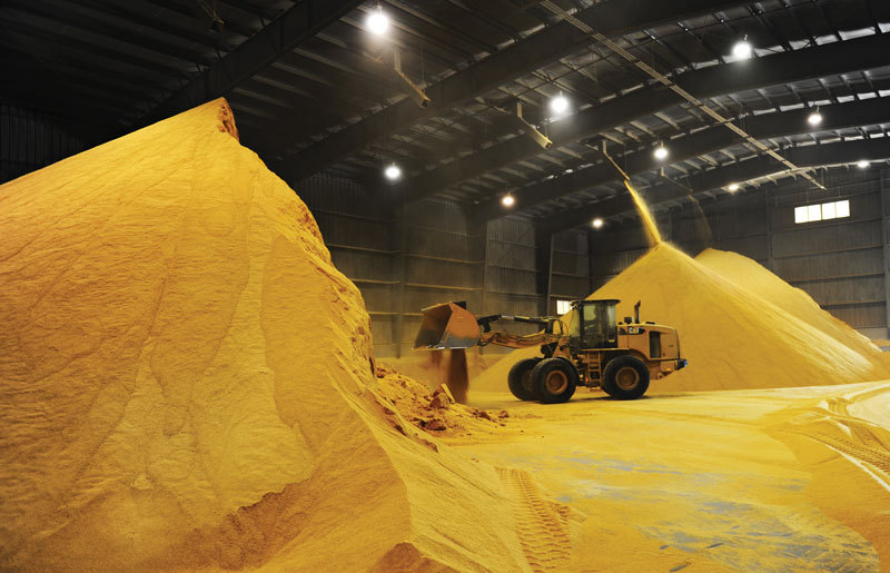 Pushing DDGS | Biomass Magazine