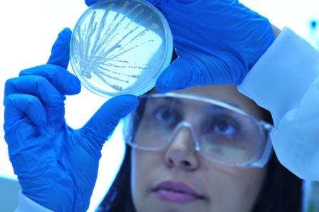 Butamax files second patent infringement case against Gevo | Biomass ...