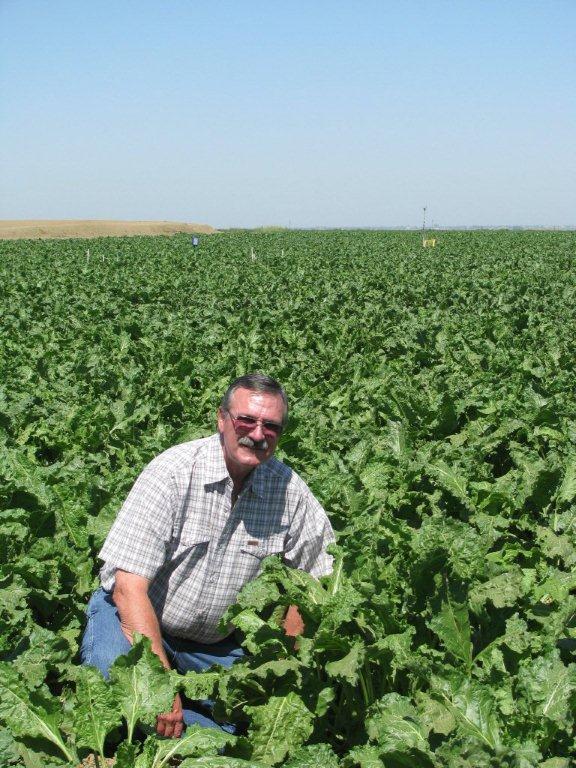California energy beet project gets $5 million for demo | Biomass Magazine