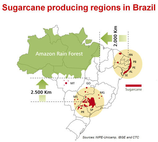Research aims to expand Brazil sugarcane acres further south | Biomass ...