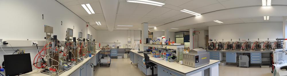 Dyadic International receives new patent | Biodiesel Magazine
