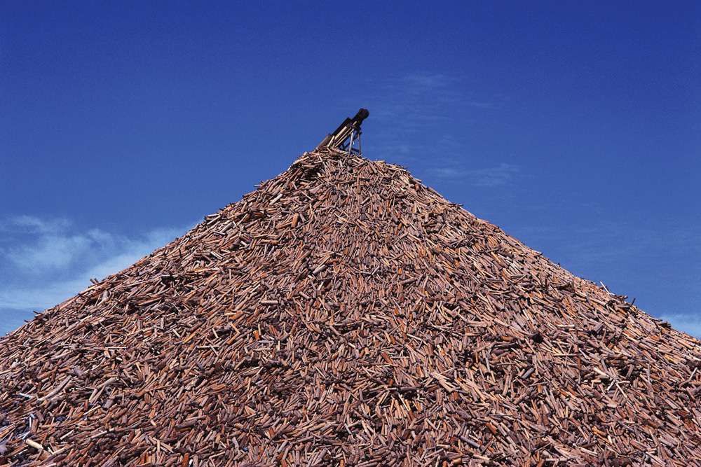 Forest Concepts awarded SBIR contract to improve biomass drying ...