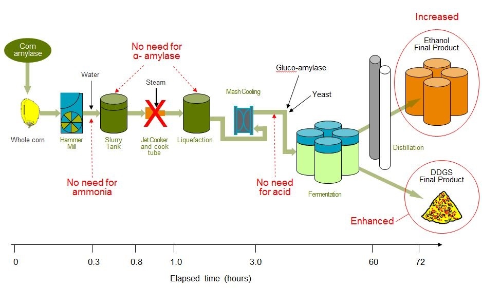Syngenta: 18 ethanol plants now contracted to use Enogen | Biomass Magazine
