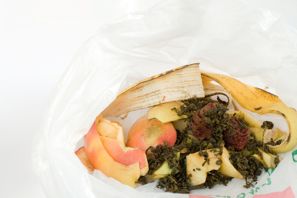Greenbelt installs food waste bioethanol system in Indonesia | Biomass ...