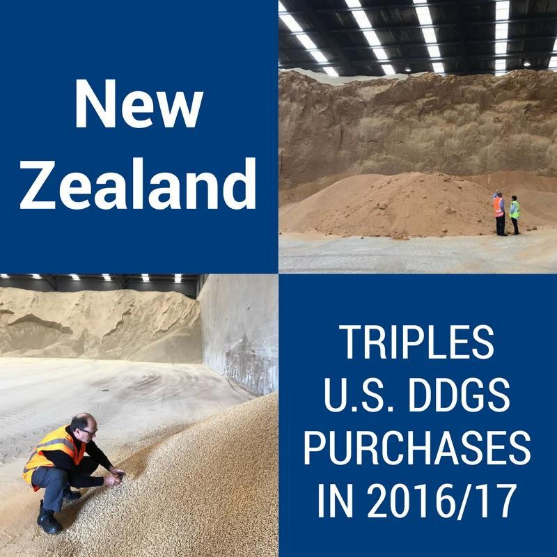 USGC: New Zealand triples US DDGS purchases | Ethanol Producer Magazine