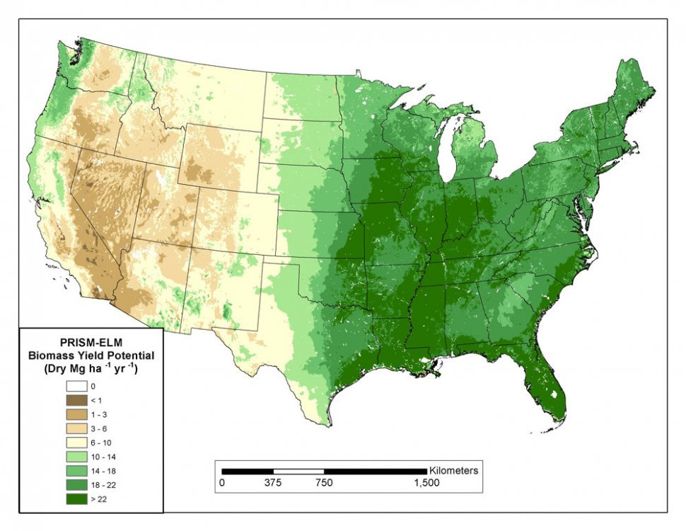 Biofuels feedstock study supports billion-ton estimate | Biomass Magazine