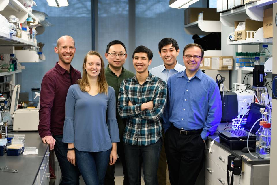 Researchers use light to turn yeast into biochemical factories ...