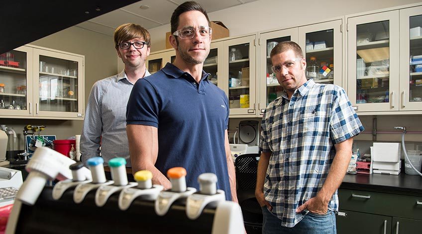 NREL: Novel genetic method improves efficiency of enzyme | Ethanol ...