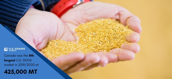 USGC: Virtual roadshow highlights value of corn, DDGS | Biomass Magazine