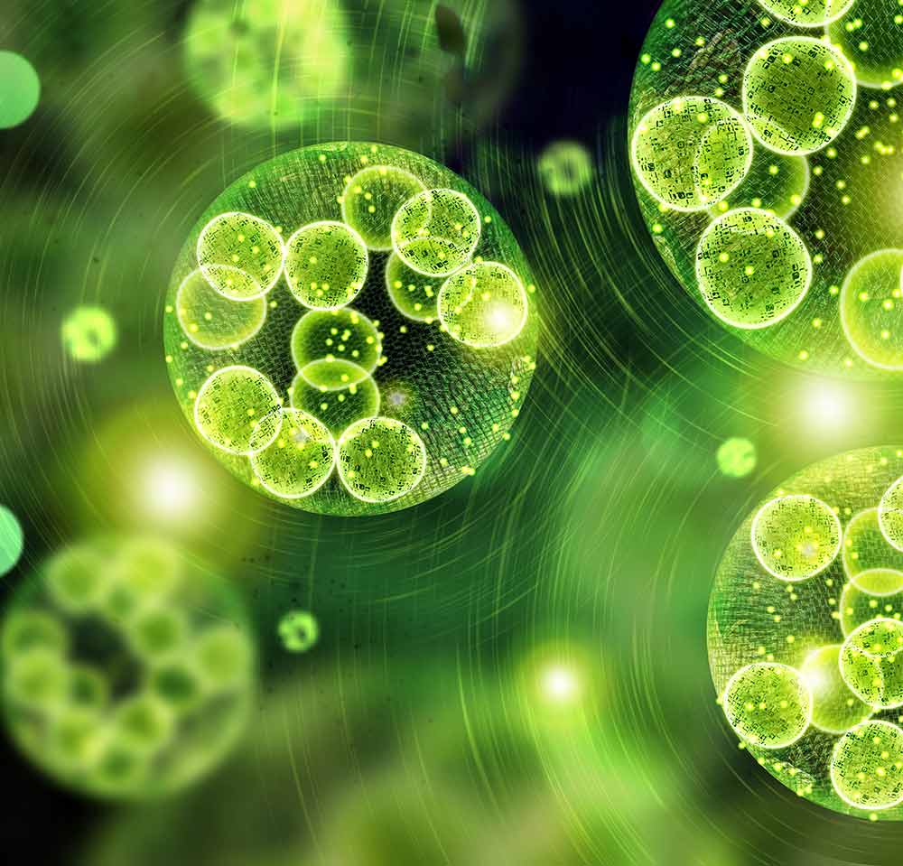 Methods and Techniques for CO2 Capture | Carbon Capture Magazine